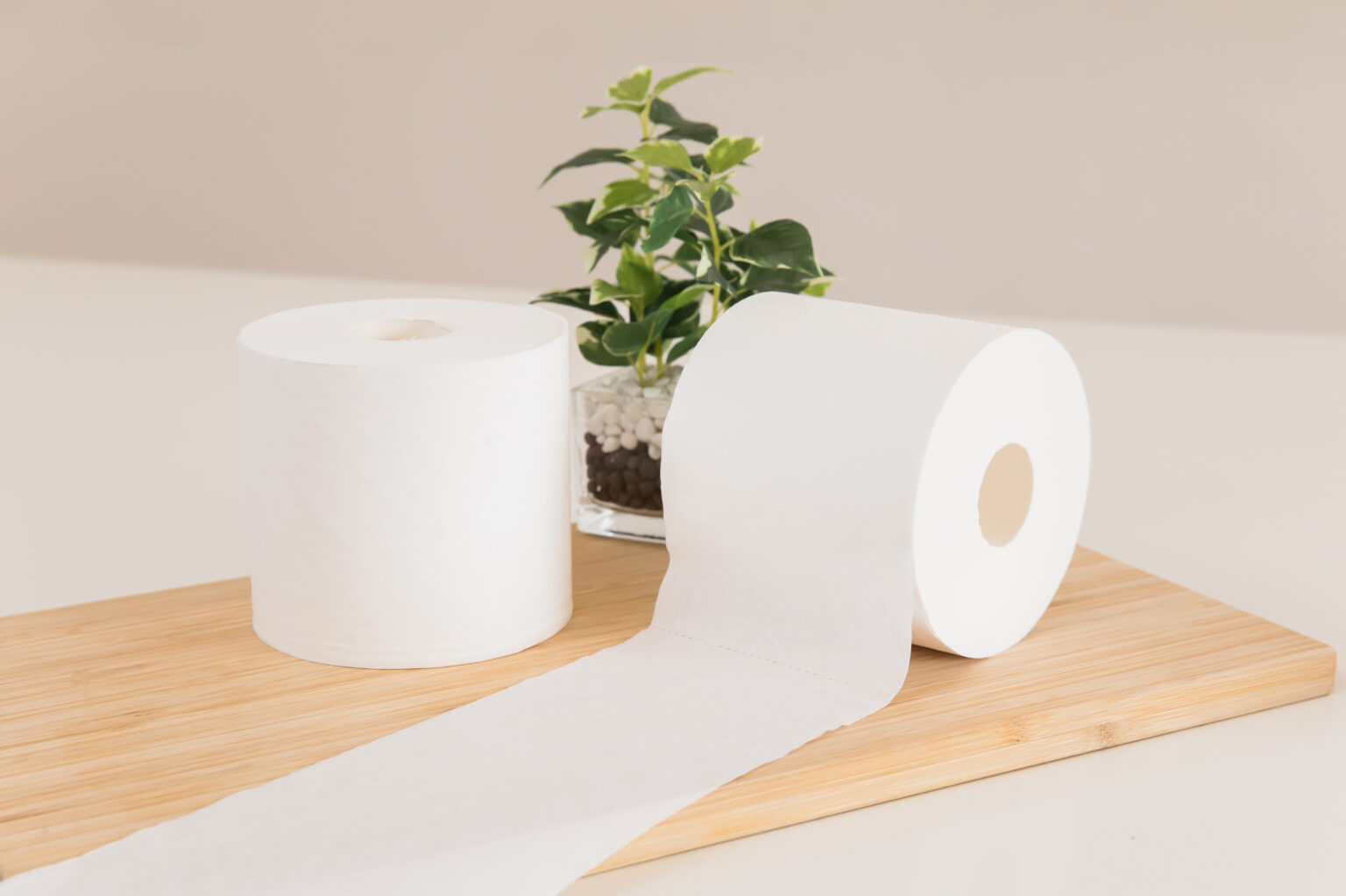 Exclusive Comfortable Paper - MARUTOMI